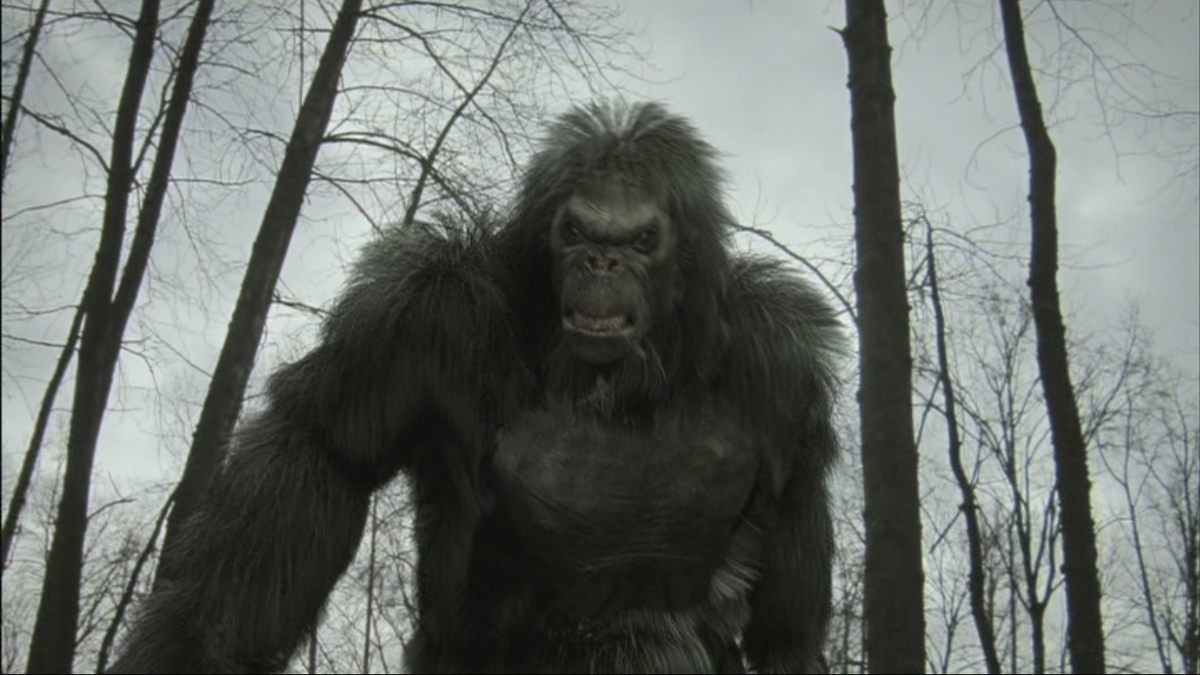 un-film-sur-bigfoot-adapt-d-un-livre-de-l-auteur-de-world-war-z