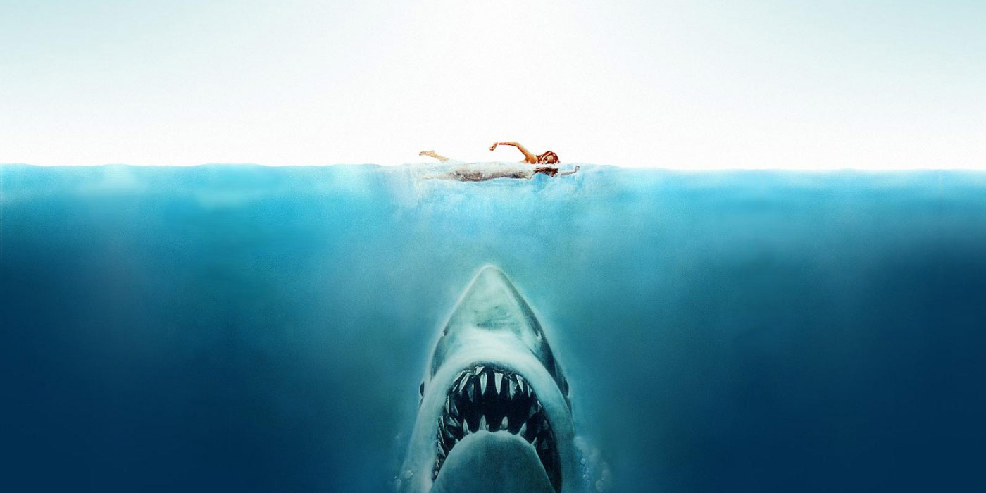 L'année du requin : le premier film de requin français avec Kad Merad ...